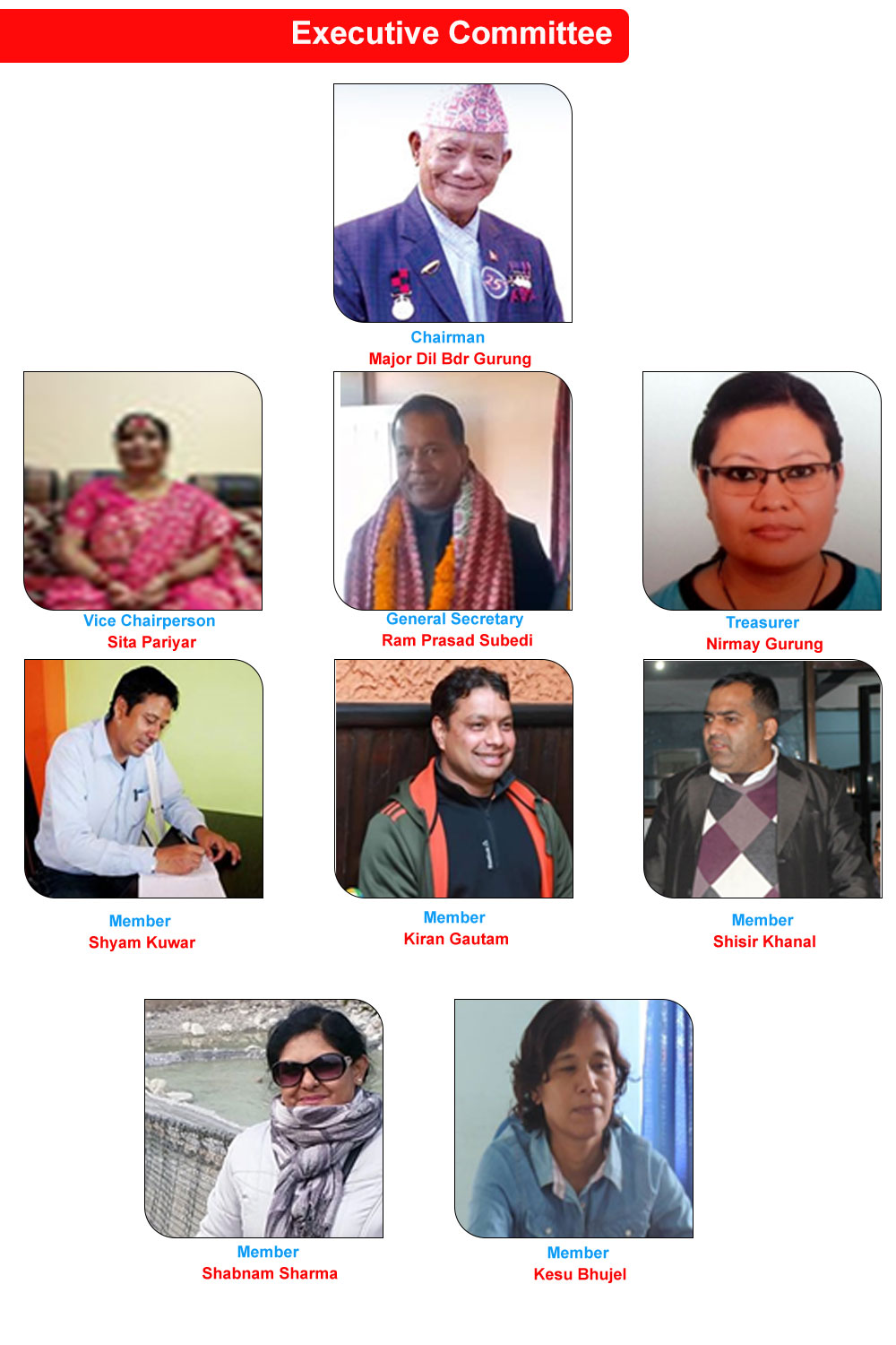 Executive committee – Good Neighbour Service Association (GONESA)